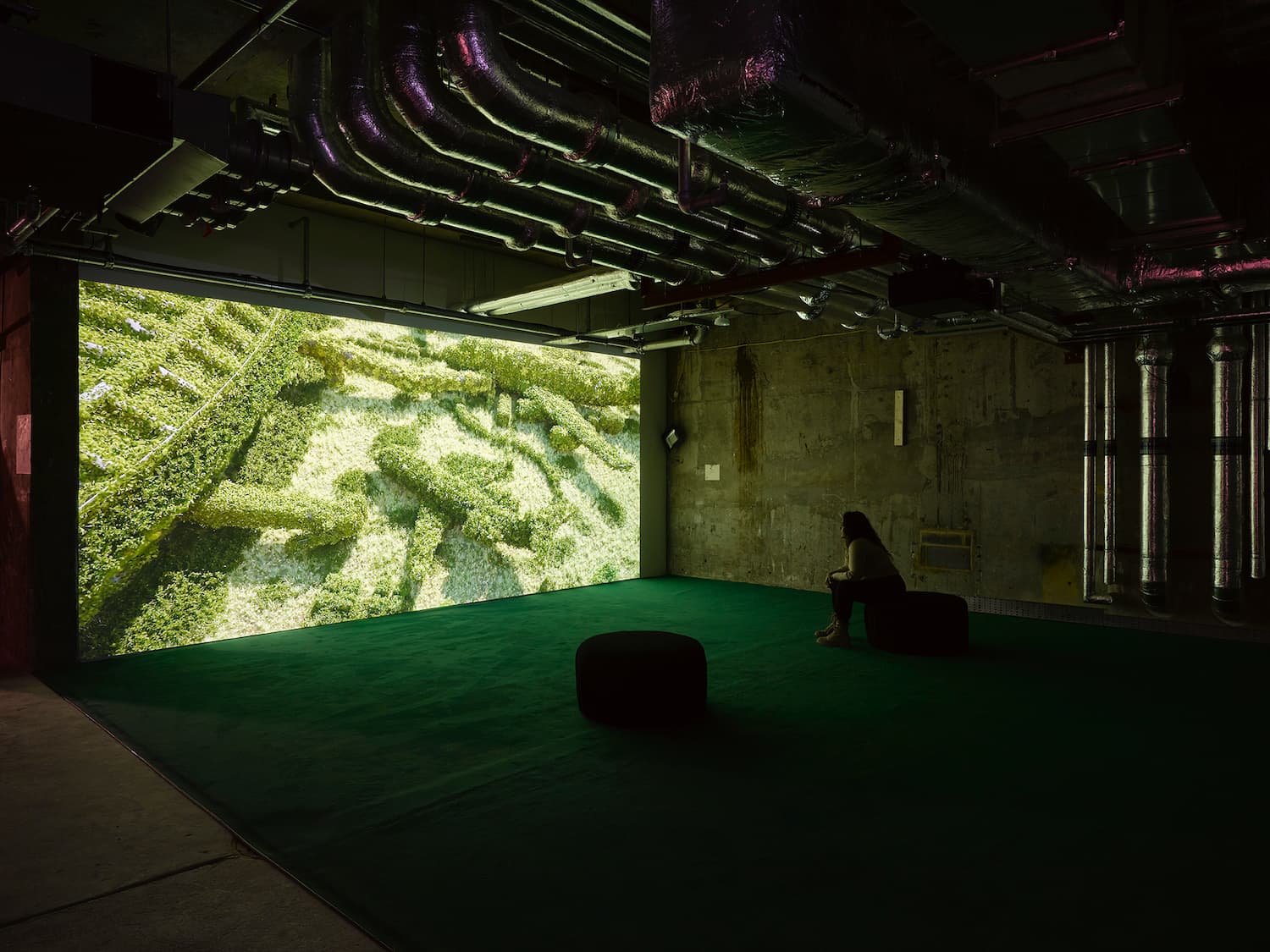 Universal Everything — Lifeforms — 180 Studios